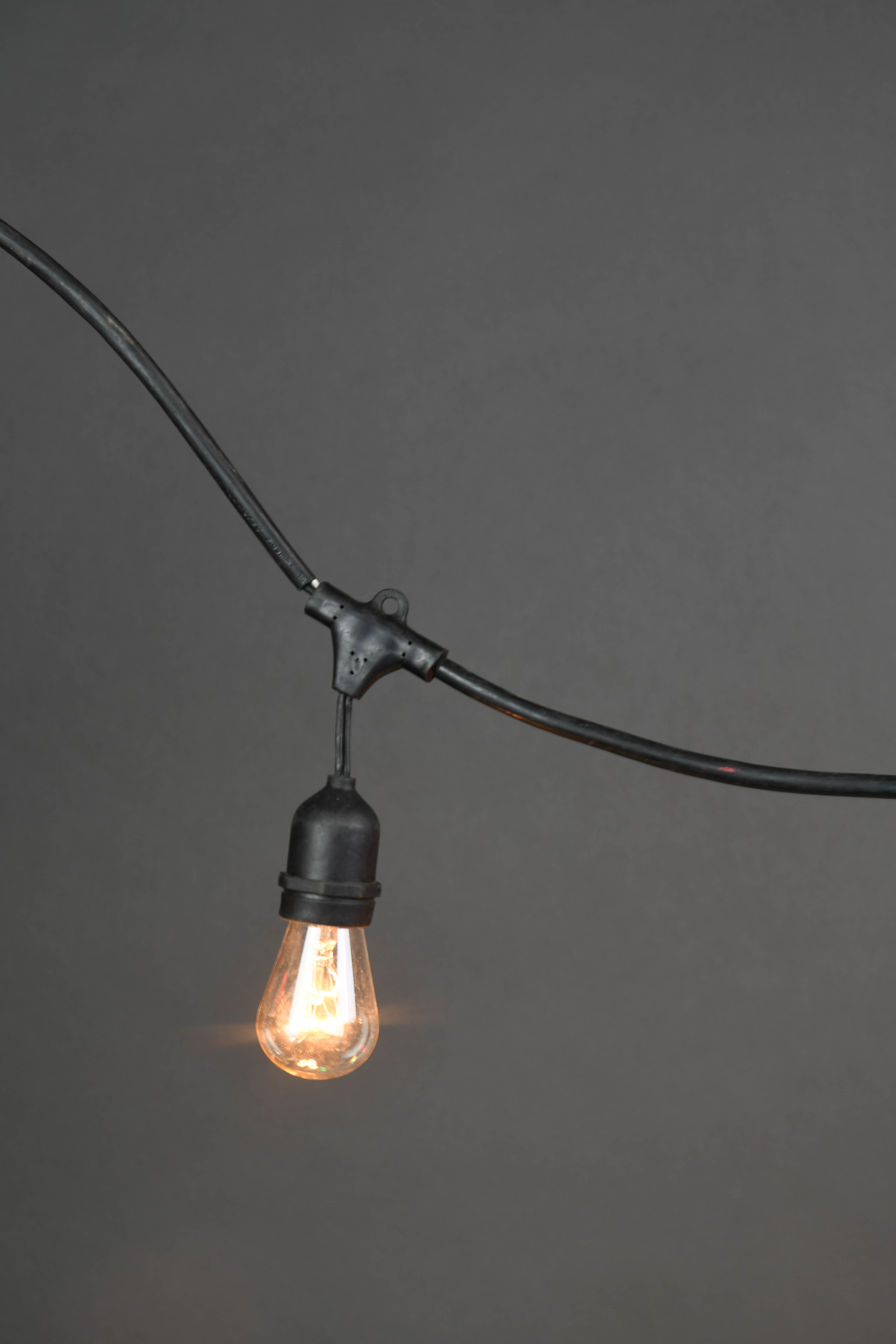 50' Black Strand Carnival Lights w/Clear Bulbs | Outdoor | Collection ...