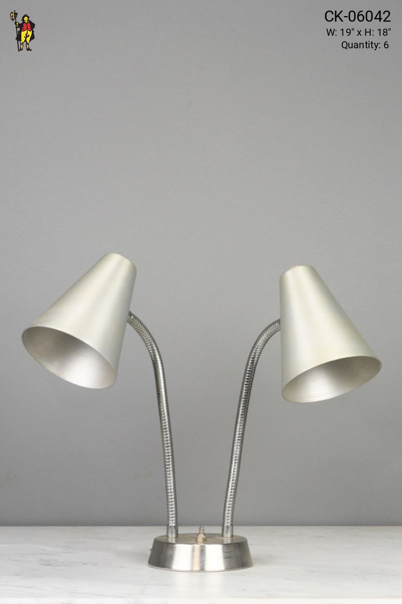 Two Light Adjustable Silver Desk Lamp | Desk Lamps | Collection | City ...