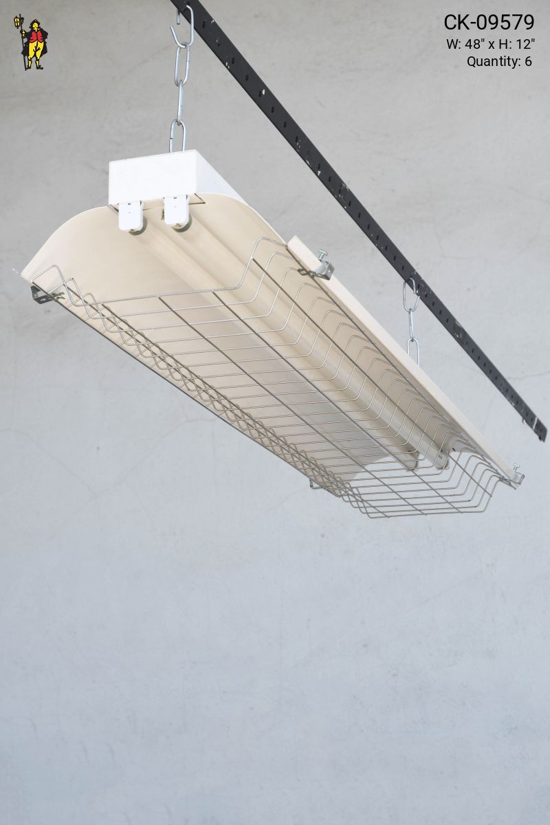 4' White "Shop" Fluorescent w/Wire Cage | Fluorescents | Collection ...