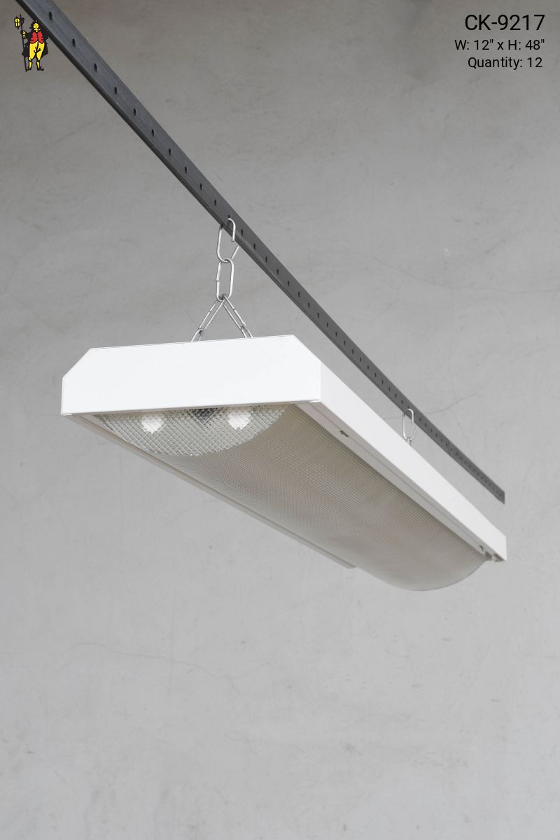 4' Curved Prismatic Lens Fluorescent Fixture (Available as Hanging or ...