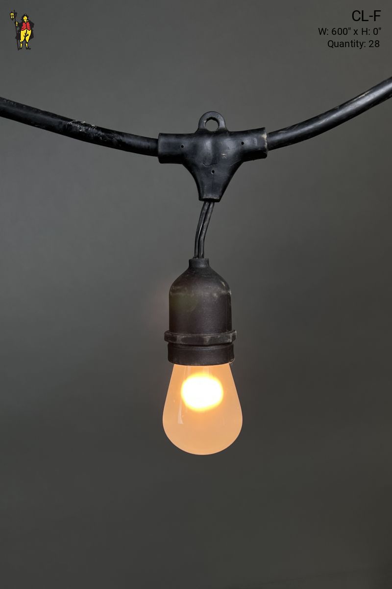 50' Black Strand Carnival Lights w/Frosted Bulbs | Outdoor | Collection ...