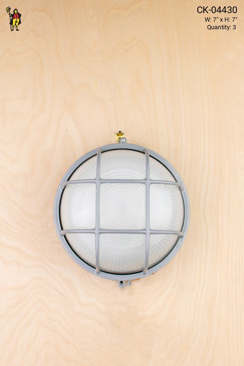 Seven Inch Silver Circular Cage Light | Wall Lights | Collection | City ...